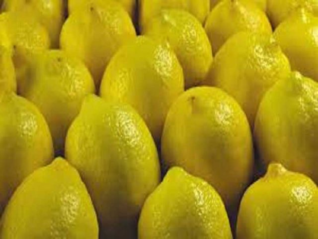Adalia Lemon – Local – ALAHMADIA SHOP